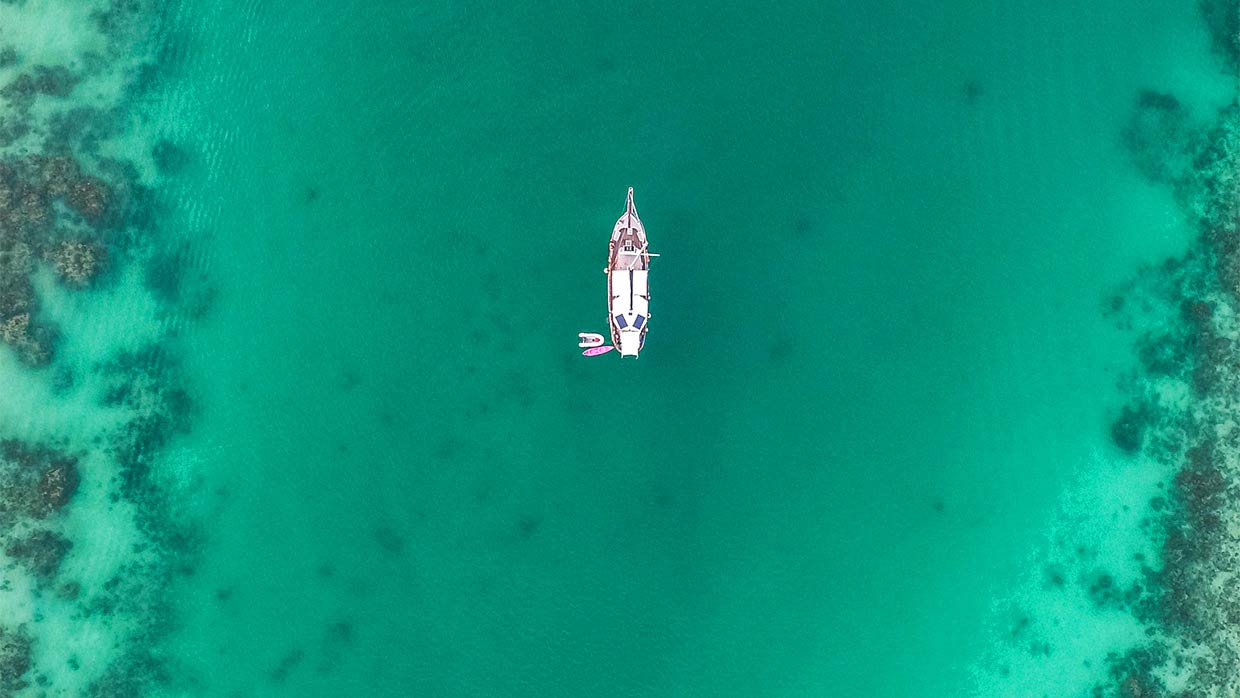 The Best Miami Airplane Tour | Luxurious New Private Airplane